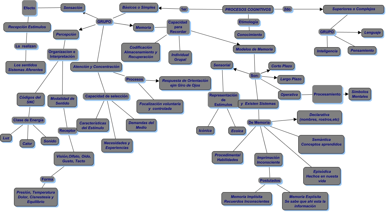 PROCESOS COGNITIVOS - Que es